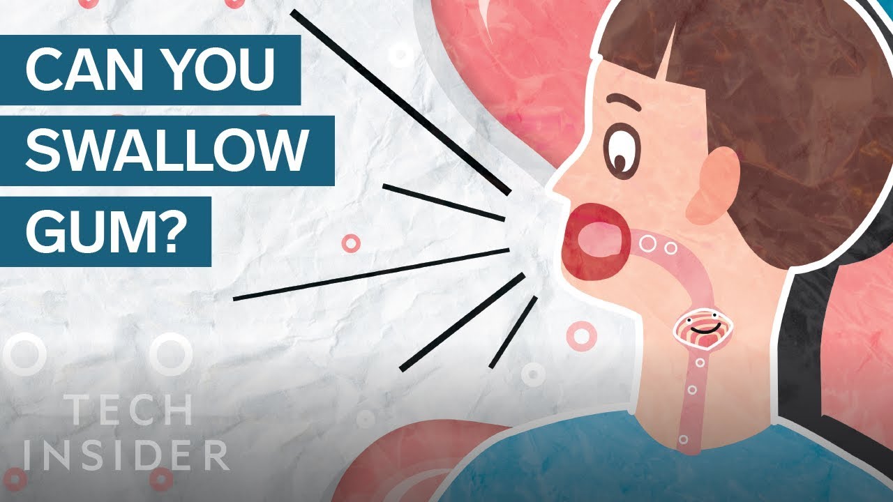 This Is What Happens When You Swallow Gum Sports Health WellBeing